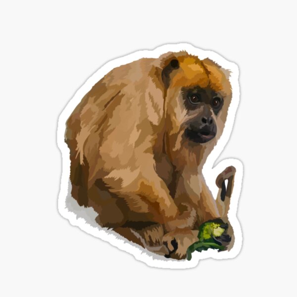 "B is for Black Howler Monkey " Sticker for Sale by thezoogirl | Redbubble