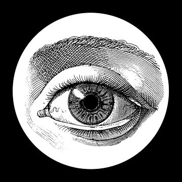 "Victorian Eye Graphic" Art Board Print for Sale by coralscuriosity ...