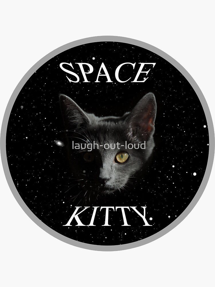 "Space Kitty" Sticker for Sale by laugh-out-loud | Redbubble