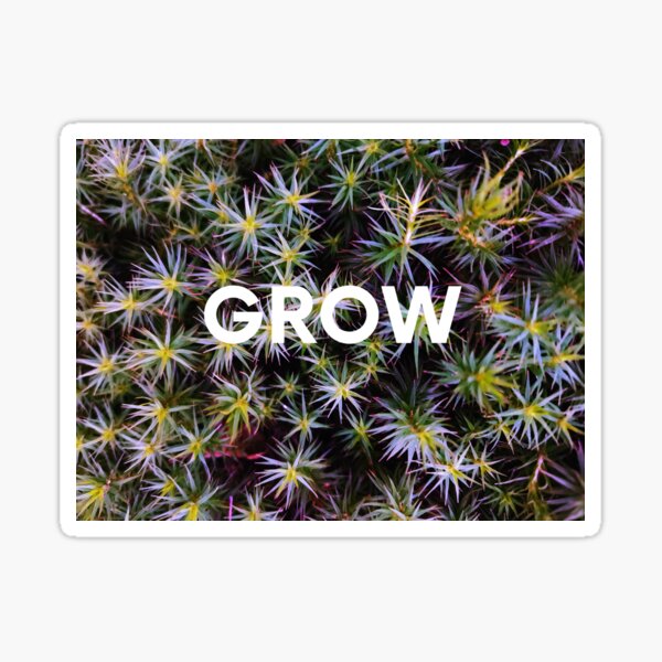 MBasic Shop | Redbubble