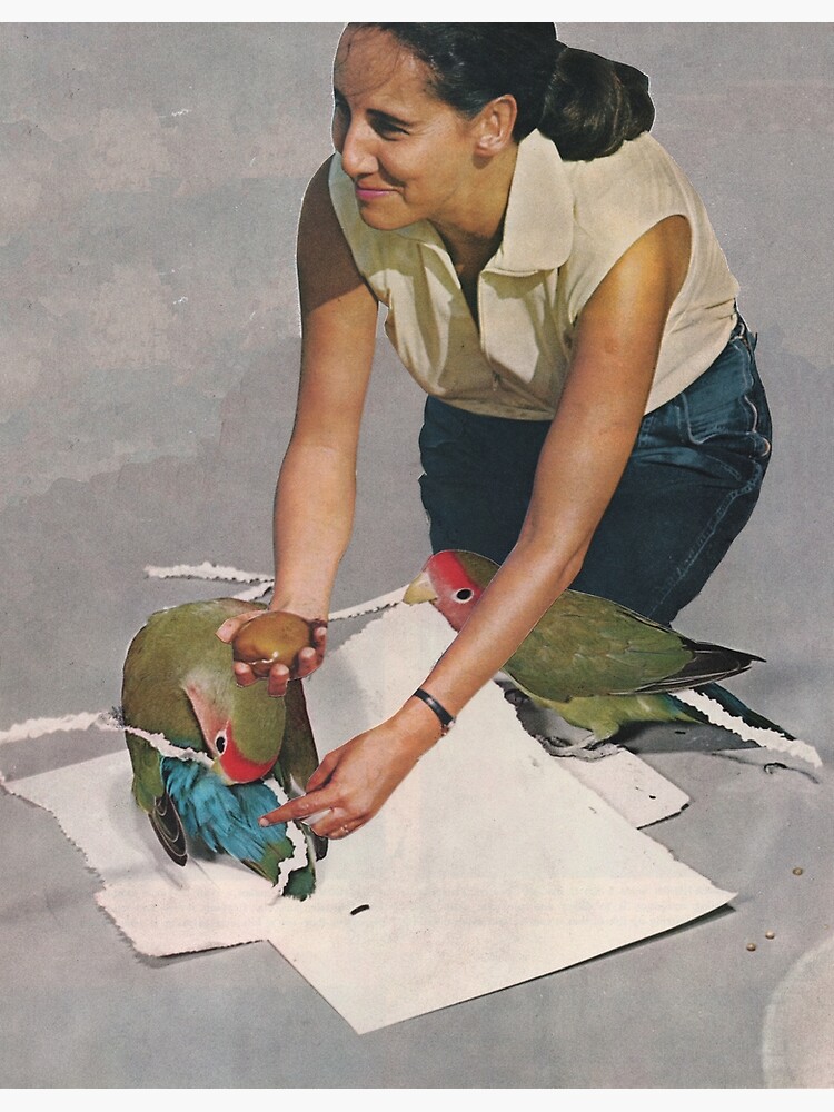 "bird tamer" Poster for Sale by luke-dunwoodie | Redbubble