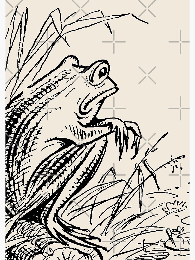 "Sad Cute Cottagecore Frog - Vintage Cottagecore Aesthetic Toad - Froge ...