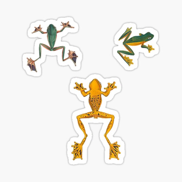 "3 Frogs sticker pack, rainforest exotic frogs colorful" Sticker by ...