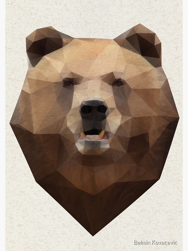 "Bear triangle" Sticker for Sale by belmin | Redbubble