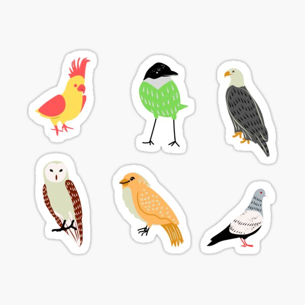 "Birds Pack" Sticker for Sale by stickerscorner | Redbubble