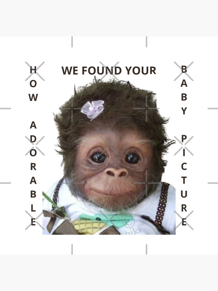 Baby Chimp Memes