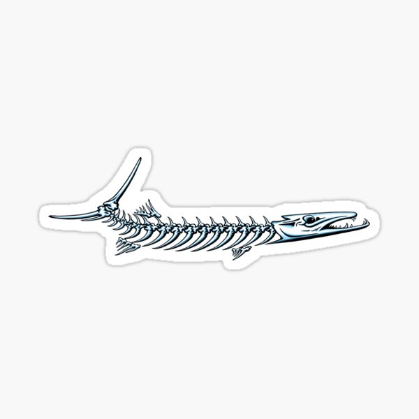 "Barracuda logo" Sticker for Sale by madpaw19 | Redbubble