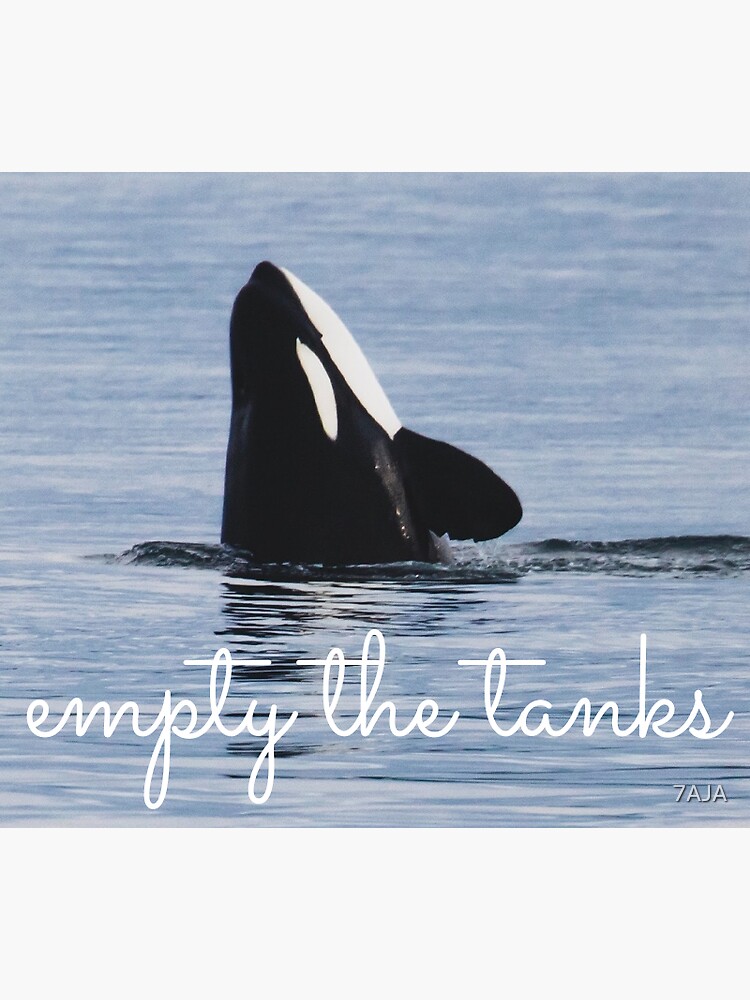 "Empty the Tanks" Sticker for Sale by 7AJA | Redbubble