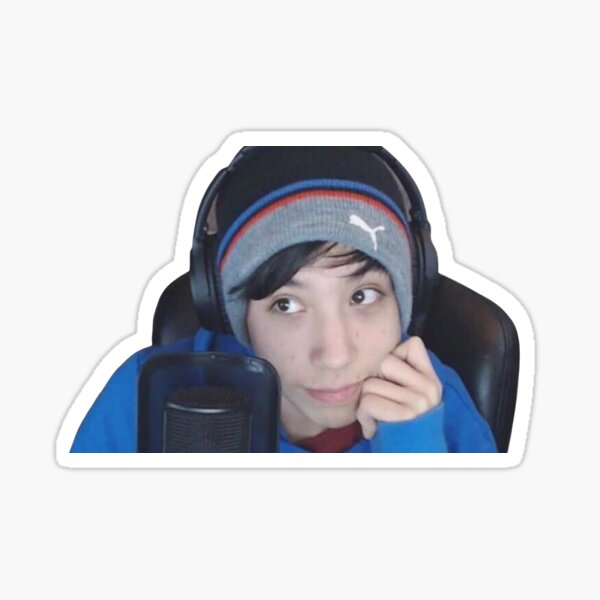 "Quackity" Sticker for Sale by despair- | Redbubble