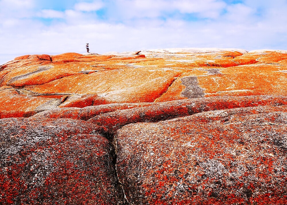 "Uluru? No - Bay of Fires Tasmania" by Lexa Harpell | Redbubble
