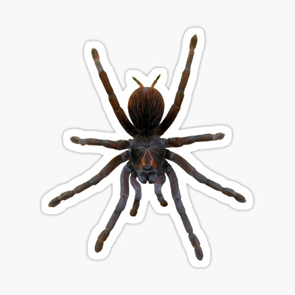 "Low Poly Spider design" Sticker for Sale by ElijahKingArt | Redbubble