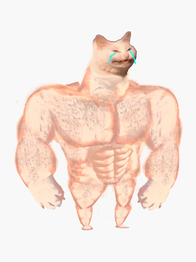"Buff Crying cat Sticker" Sticker for Sale by Berry Beans | Redbubble
