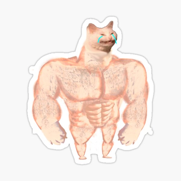 "Buff Crying cat Sticker" Sticker for Sale by Berry Beans | Redbubble