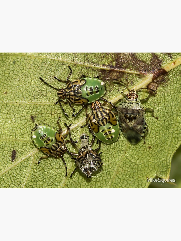 "Growing up" Sticker for Sale by MikeSquires | Redbubble