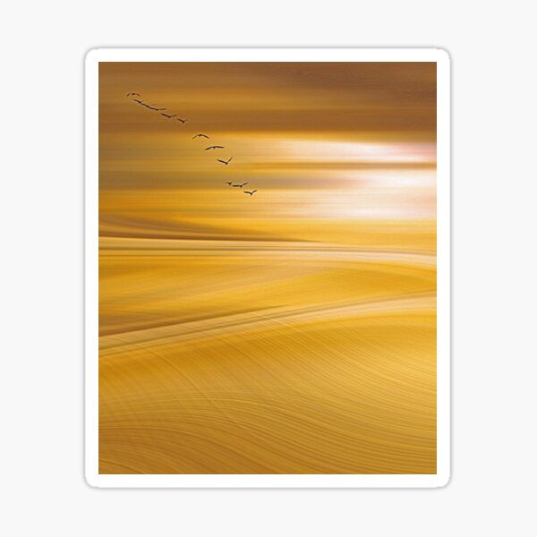 "Flock of birds flying in a golden sunset landscape" Sticker for Sale ...