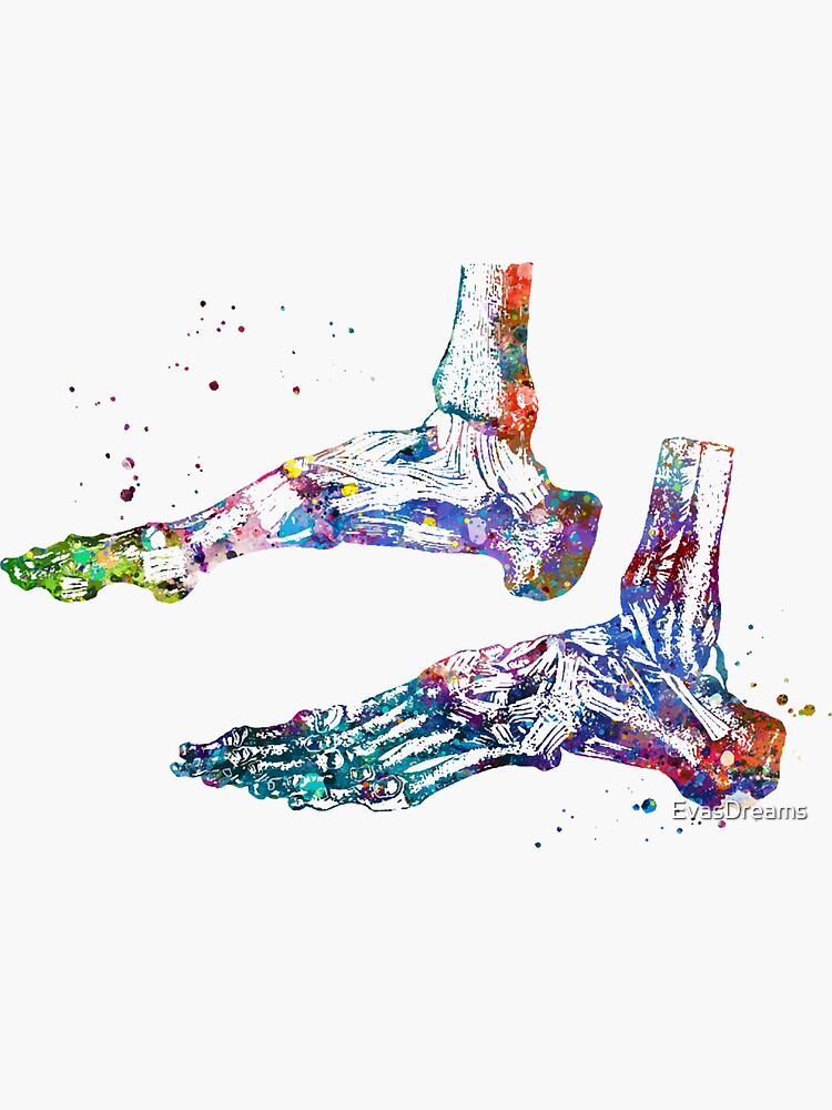 "Feet Bones Side View Anatomy" Sticker for Sale by EvasDreams | Redbubble
