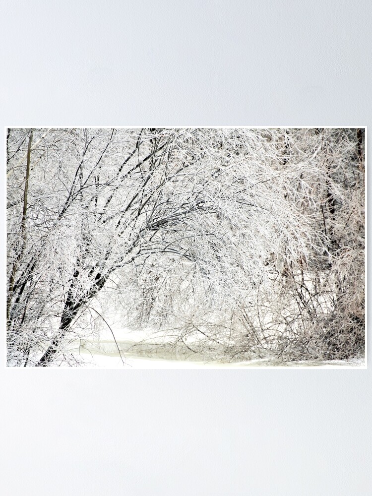 "Iced Over" Poster for Sale by woodeye518 | Redbubble