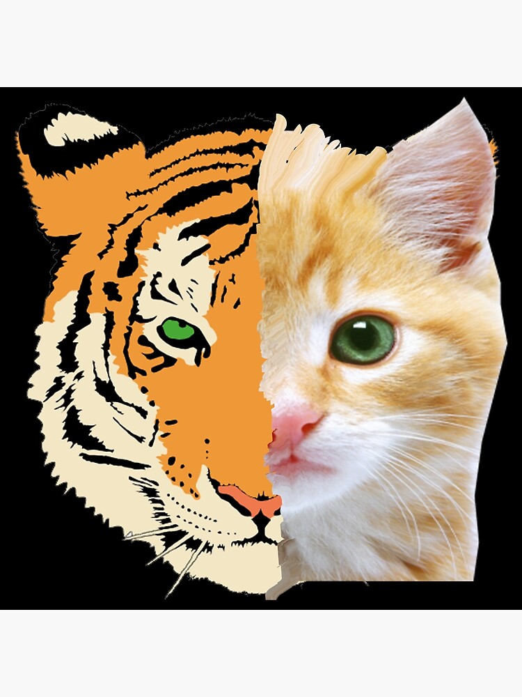 "Cat vs Tiger " Poster by khalifah97 | Redbubble