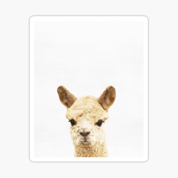 "Alpaca print, Nursery decor, Animal art, Wall Art, Minimalist" Sticker ...