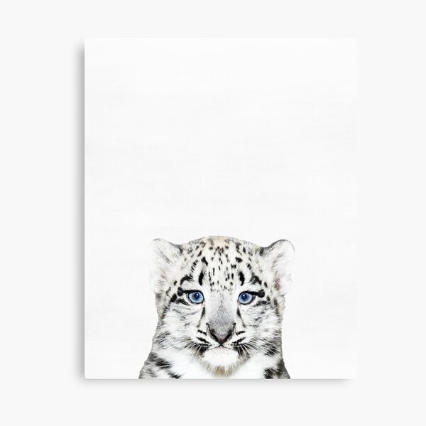 "Baby leopard, Leopard, Nursery decor, Animal, Kids room, Modern art ...