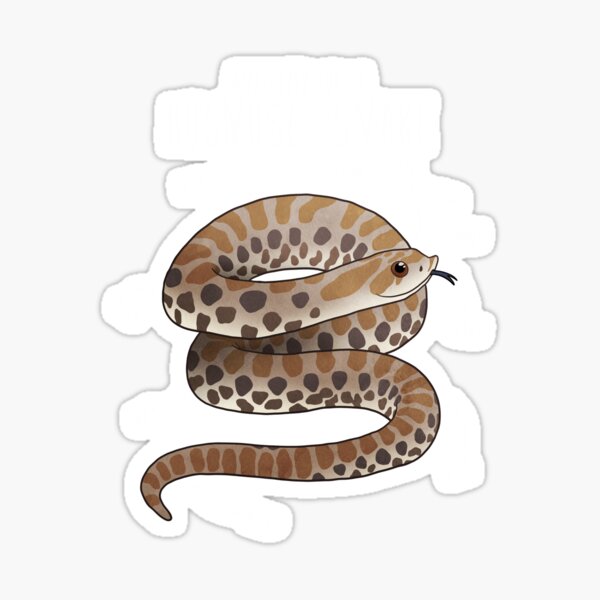 "Anatomy of a Hognose Snake" Sticker for Sale by Psitta | Redbubble
