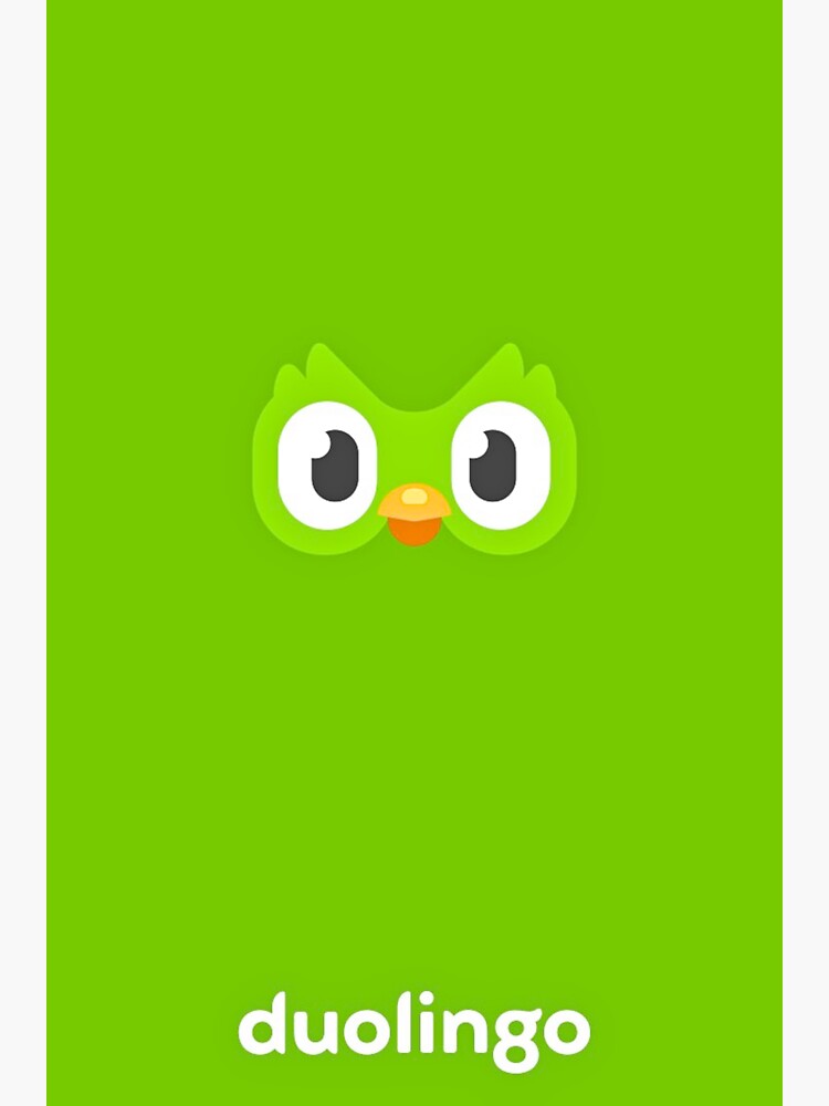 "Duolingo" Sticker for Sale by jaune-eclatant | Redbubble