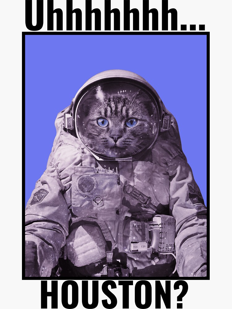 "Uh Oh Houston Kitty Astronaut " Sticker for Sale by SalemSchmitt ...