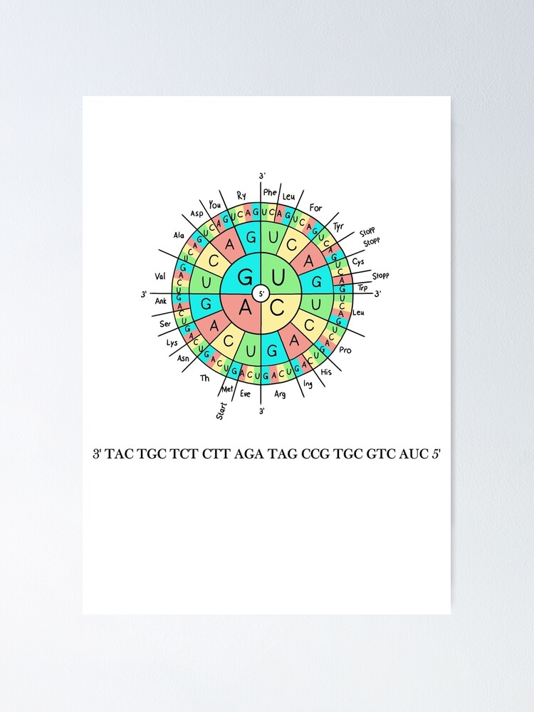 "codon wheel with secret message" Poster by Blackstar02 | Redbubble