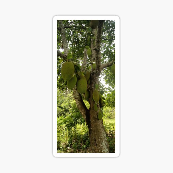 Jackfruit Gifts & Merchandise | Redbubble