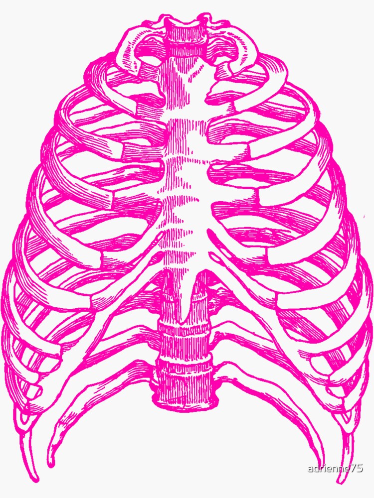 "Skeleton rib cage pink" Sticker for Sale by adrienne75 | Redbubble