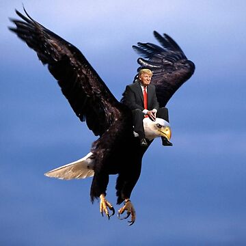 "Trump Riding Eagle" Art Print for Sale by Derp234 | Redbubble