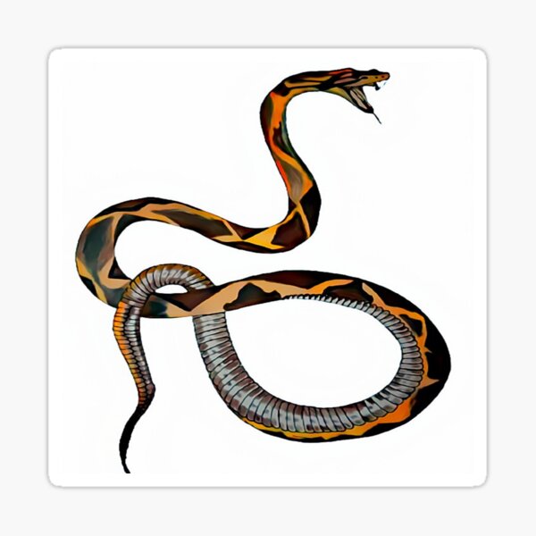 "Copperhead Snake " Sticker by Raagtrove | Redbubble
