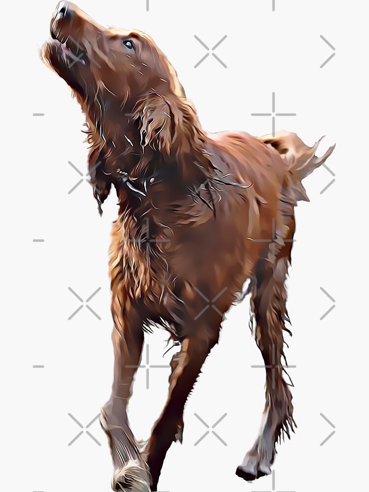 "Goofy Irish Setter Drawing" Sticker by CartoonCosmos | Redbubble