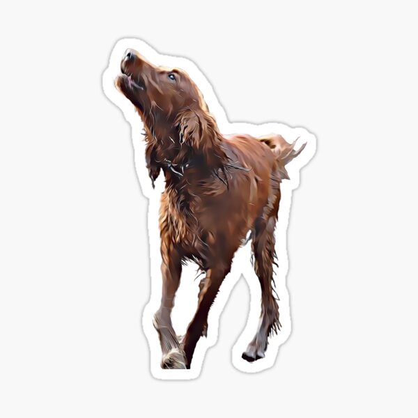"Goofy Irish Setter Drawing" Sticker by CartoonCosmos | Redbubble
