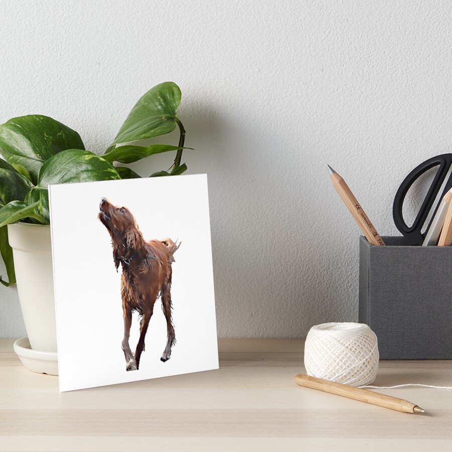 "Goofy Irish Setter Drawing" Art Board Print for Sale by CartoonCosmos ...