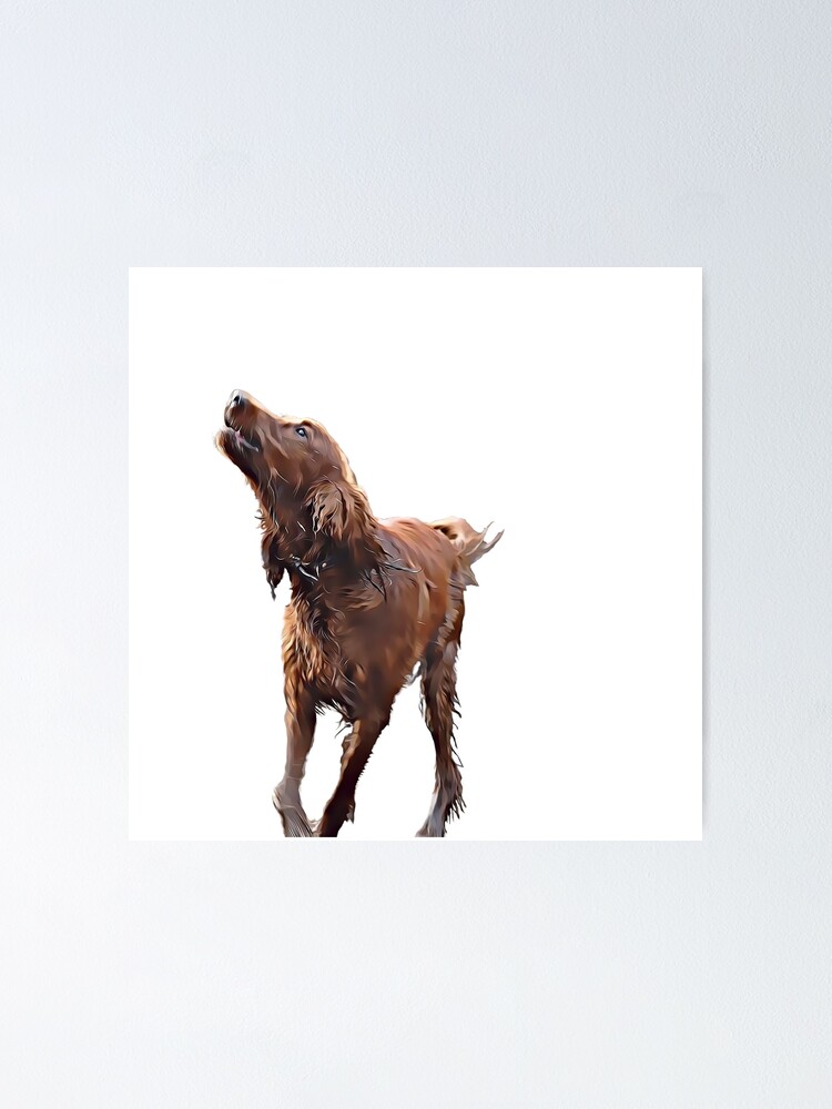 "Goofy Irish Setter Drawing" Poster for Sale by CartoonCosmos | Redbubble