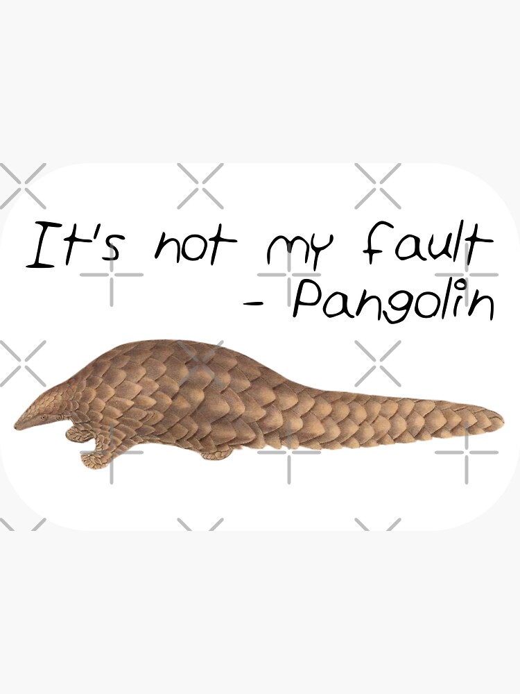 "Funny pangolin" Sticker by Sinovius | Redbubble