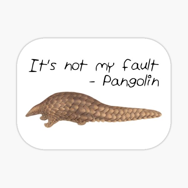 "Funny pangolin" Sticker by Sinovius | Redbubble