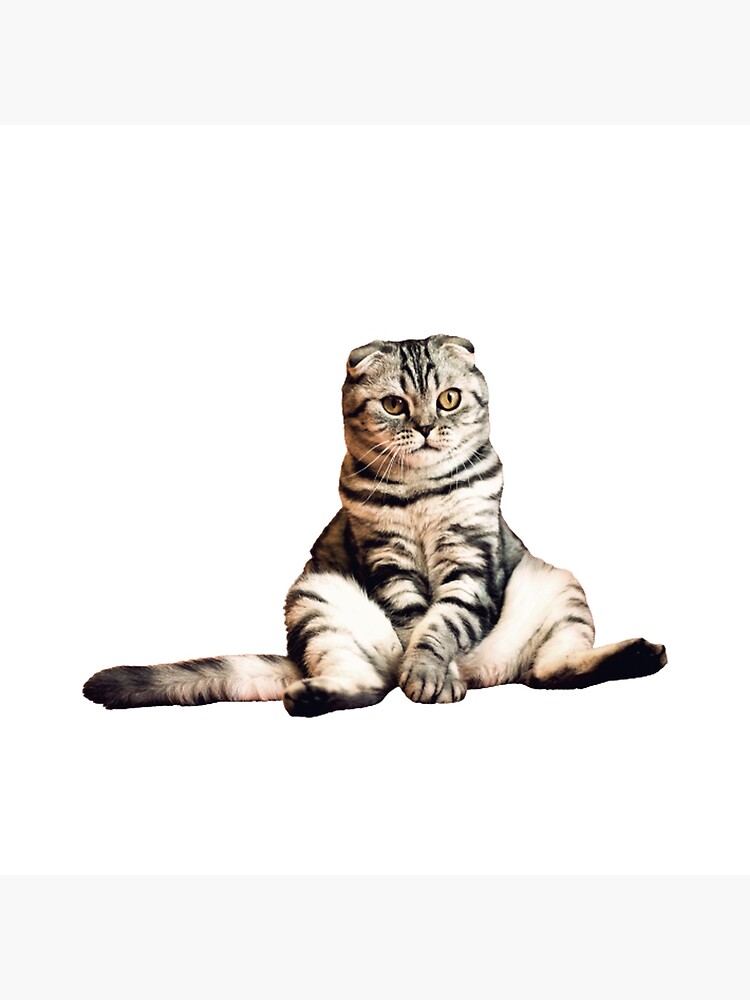 "Bored Cat Sticker" Art Print by akexcts | Redbubble