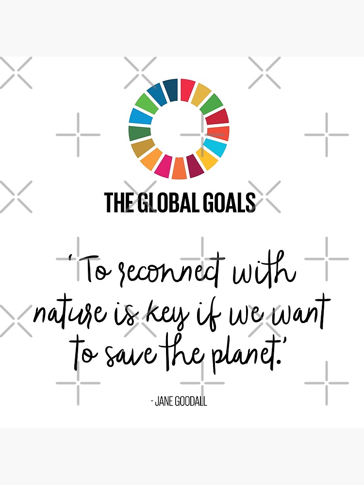 The Global Goals for Sustainable Development UN SDGs | UN Global Goals ...