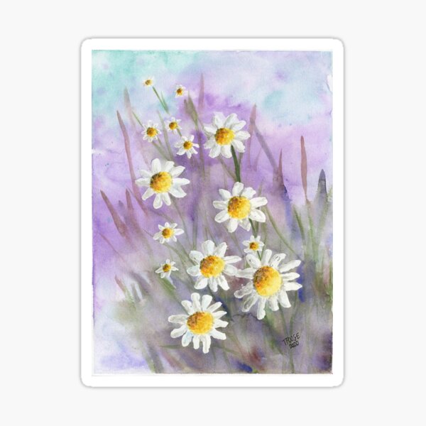 "Daises" Sticker for Sale by Taphath Foose | Redbubble