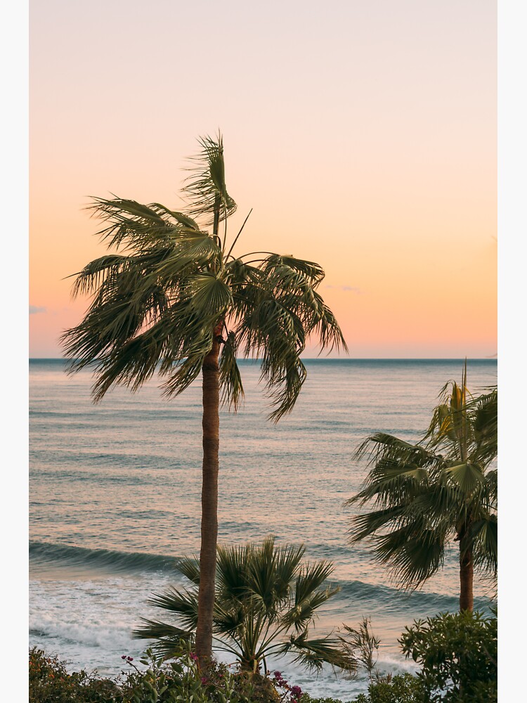 "beach side trees and sunset gradient" Sticker for Sale by Bhanuja7 ...