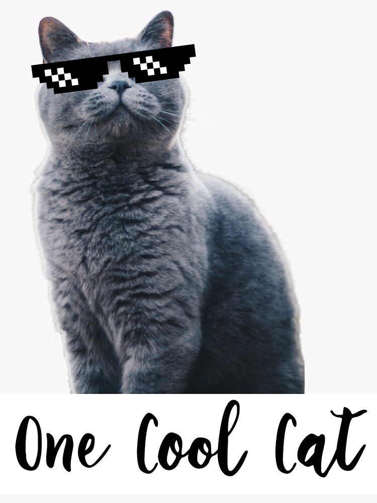 "One Cool Cat" Sticker for Sale by soupermedic | Redbubble