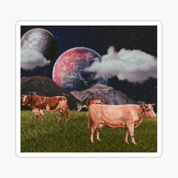 "cow collage " Sticker for Sale by ayshaisovic | Redbubble
