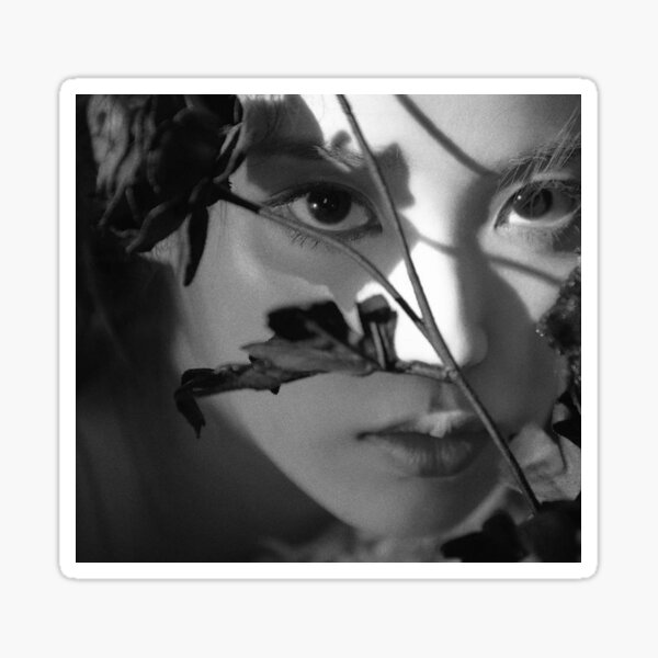 "IU" Sticker for Sale by jap17 | Redbubble