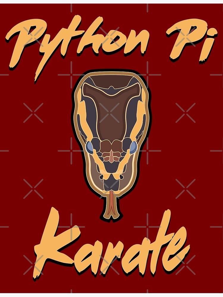 "Python Pi Karate " Poster for Sale by PCB1981 | Redbubble