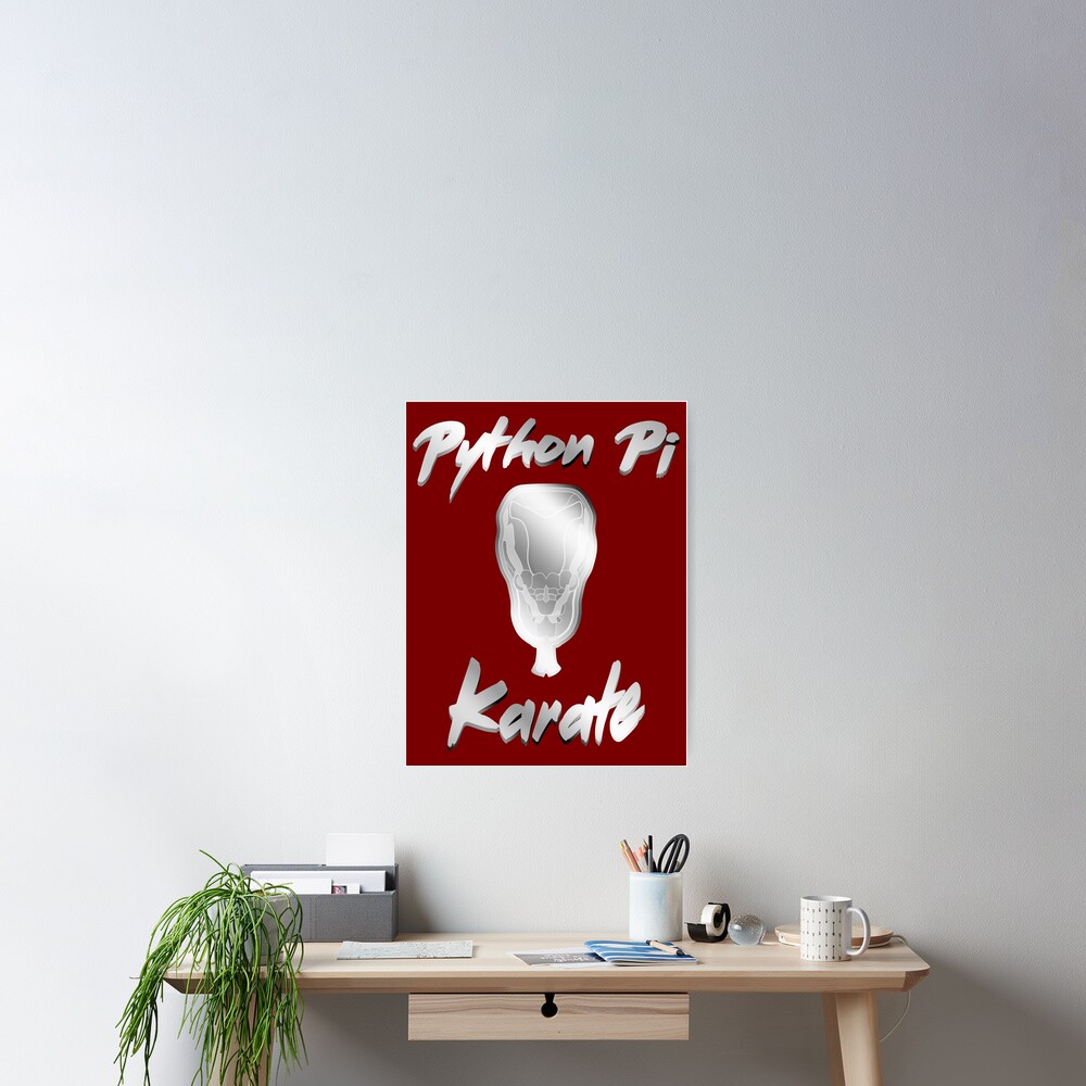 "Python Pi Karate Metal Effect" Poster by PCB1981 | Redbubble