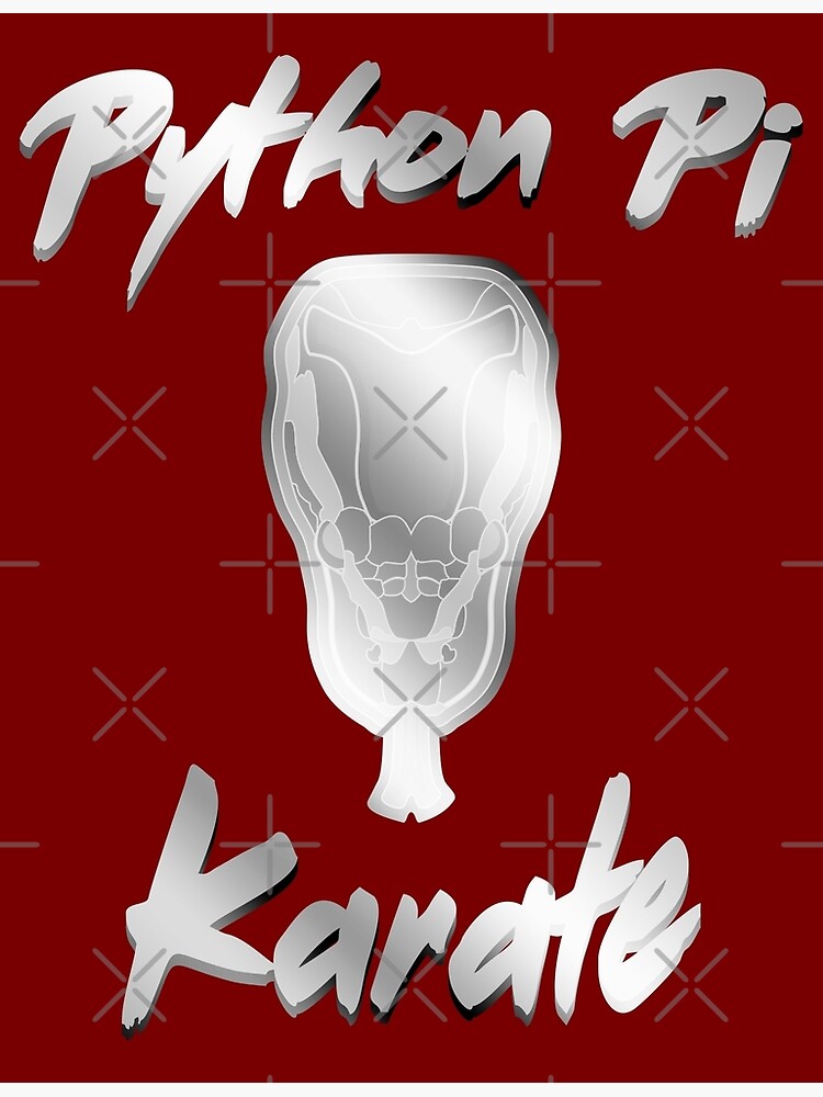 "Python Pi Karate Metal Effect" Poster by PCB1981 | Redbubble