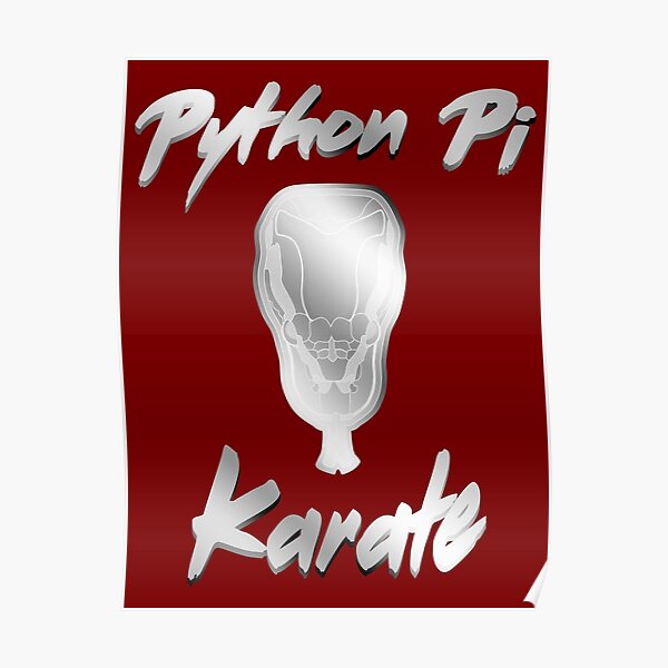 "Python Pi Karate Metal Effect" Poster by PCB1981 | Redbubble