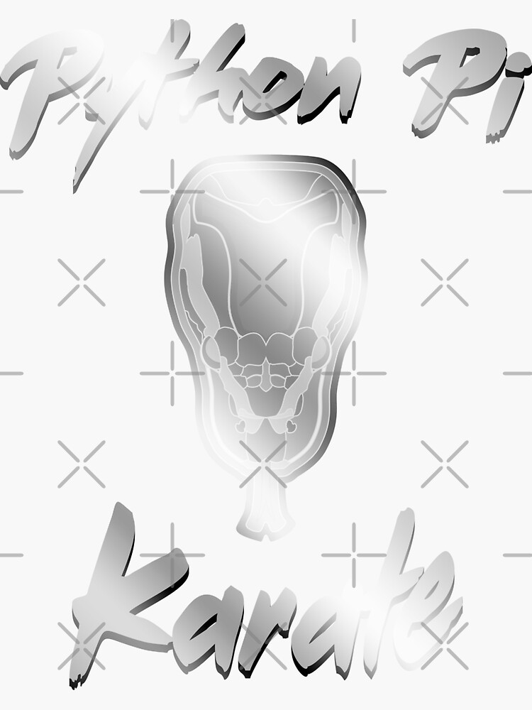 "Python Pi Karate Metal Effect" Sticker for Sale by PCB1981 | Redbubble